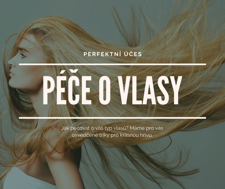 Encyklopedie krásy. Vše, co chcete vědět o kosmetice | ELNINO.CZ